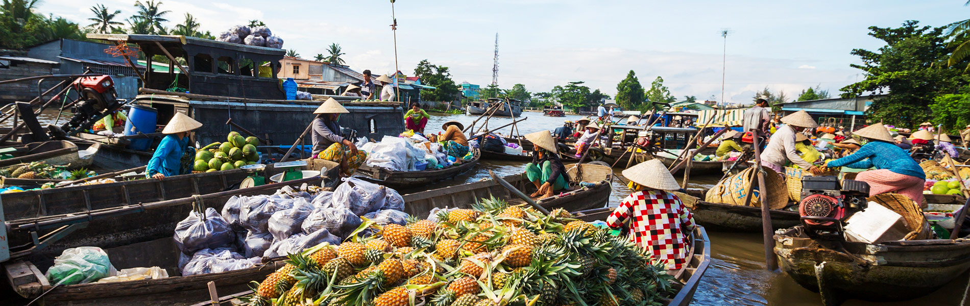 6 Days Tour from Saigon to Mekong Delta and Can Tho Cai Rang Floating ...