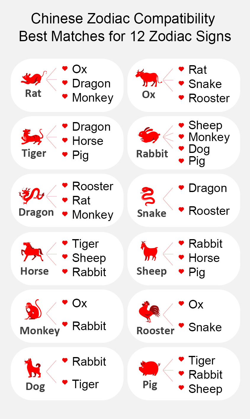 Chinese Zodiac: 2025 Year of Snake, 12 Animal Signs, Calculator