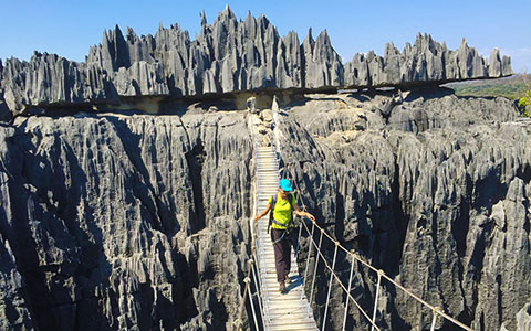 Madagascar Tours: Best Private Wildlife Safari Packages