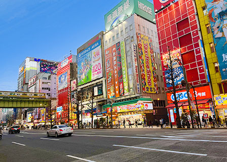 6 Days Private Tour of Tokyo, Mt. Fuji, Nikko, Kamakura, Tokyo