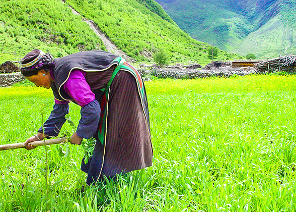 Tibet Hiking Tours: Routes to Lhasa, Shigatse, Nakchu, Mt.Everest