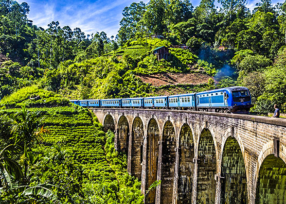 Sri Lanka Tour Packages, Best Private & Custom Holiday Trips