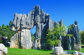 Yunnan Tours, No Shops Private Travel Packages to Kunming, Lijiang