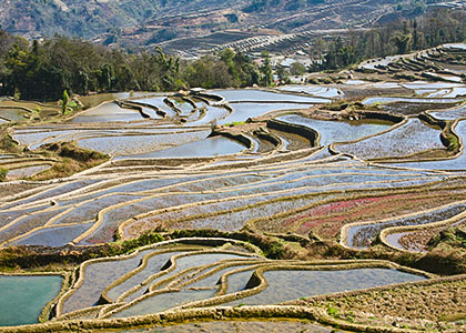 Kunming Tours, China: Private Packages to Stone Forest, Lijiang